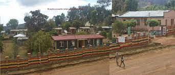 Sewasew | Boreda (ቦረዳ)