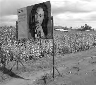 Sewasew | Rastafari/Rastafarianism (ራስ ተፈሪ)