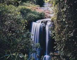 Sewasew | Wenago (ወናጎ)
