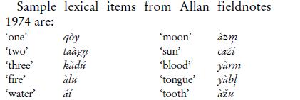 Sewasew | Dizi language