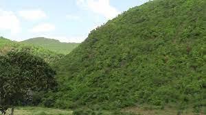 Sewasew | Humbo (ሀምቦ)