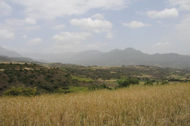 Sewasew | Bugna Woreda (ቡግና ወረዳ)