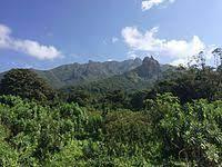 Sewasew | Mount Welel (የወለል ተራራ)