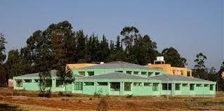 Sewasew | Holeta (ሆለታ)