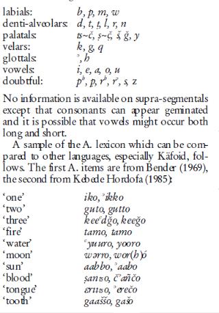 Sewasew | Anfillo language (አንፊሎ ቋንቋ)