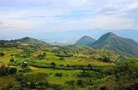 Sewasew | Gedeo (ጌዴኦ)