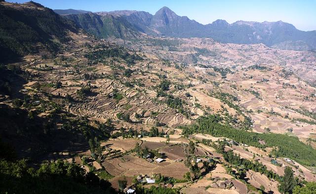 Sewasew | Ankober Woreda (አንኮበር ወረዳ)