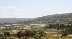 Sewasew | Gelemso (ገለምሶ)