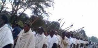 Sewasew | Abbaa qorro (አባ ቆሮ)