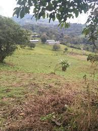 Sewasew | Bench woreda (ቤንች ወረዳ)