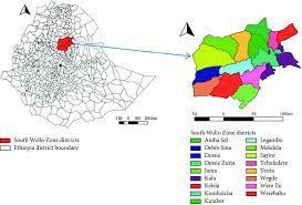 Sewasew | South Wollo (ደቡብ ወሎ)