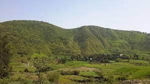 Sewasew | Meket Woreda (መቄት ወረዳ)