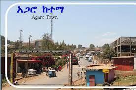 Sewasew | Agaro (አጋሮ)