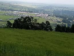 Sewasew | Gozamin Woreda (ጎዛምን ወረዳ)