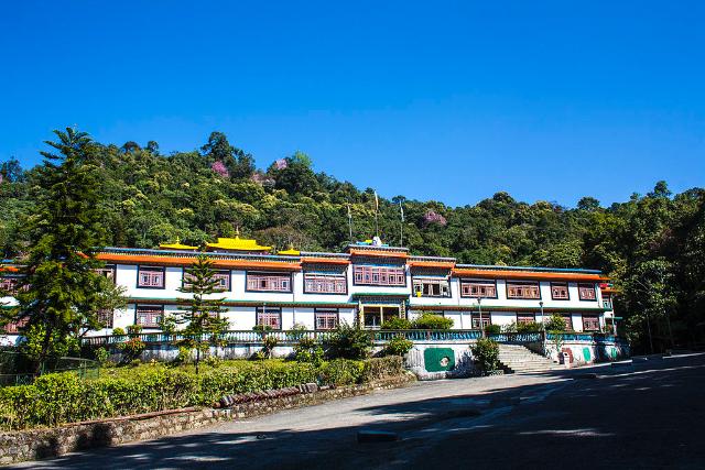 Sewasew | Monastery and Monastic life (ገዳም እና የገዳም ሕይወት)