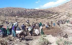 Sewasew | Beyeda Woreda (በየዳ ወረዳ)