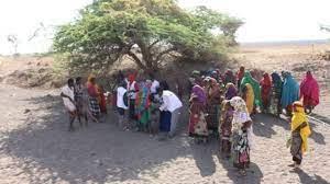 Sewasew | Dollo Zone (የዶሎ ዞን)