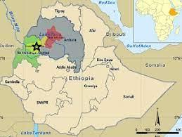 Sewasew | Dangur (ዳንጉር)