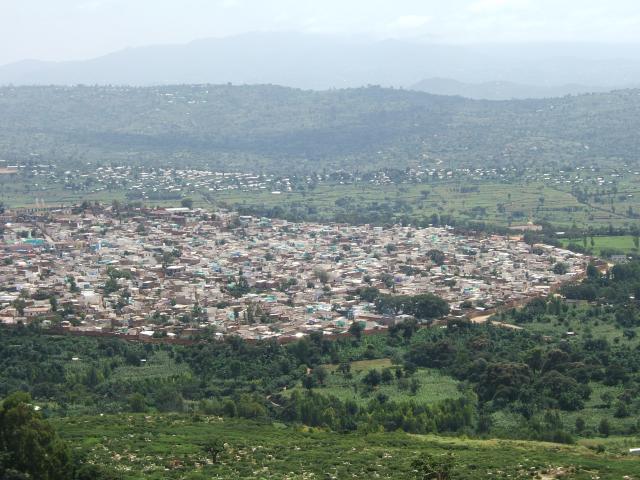 Sewasew | Town of Harar (የሐረር ከተማ)