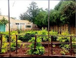 Sewasew | Dire Woreda (ድሬ ወረዳ)
